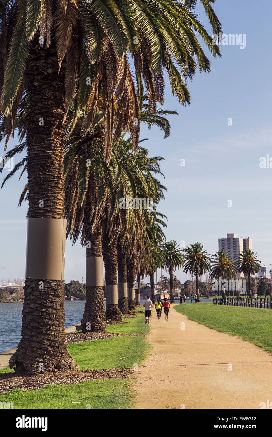 People jogging and walking around Albert Park Lake, Melbourne, Victoria ...