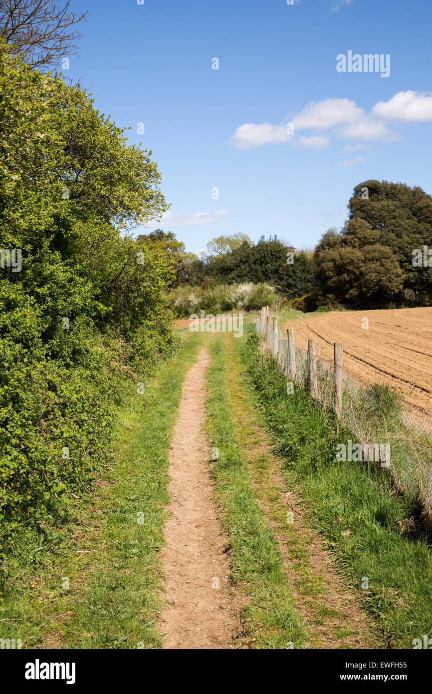 Road through fields uk hi-res stock photography and images - Alamy