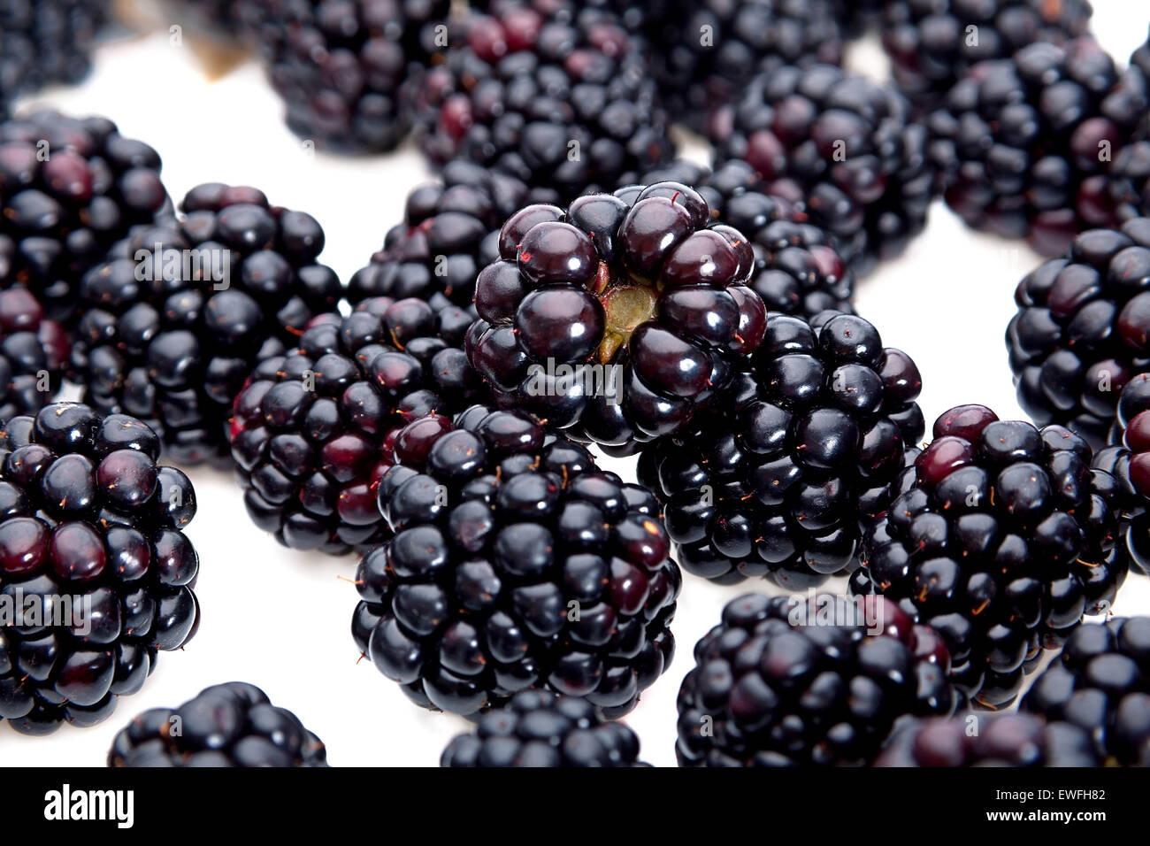 Blackberry fruit hi-res stock photography and images - Alamy