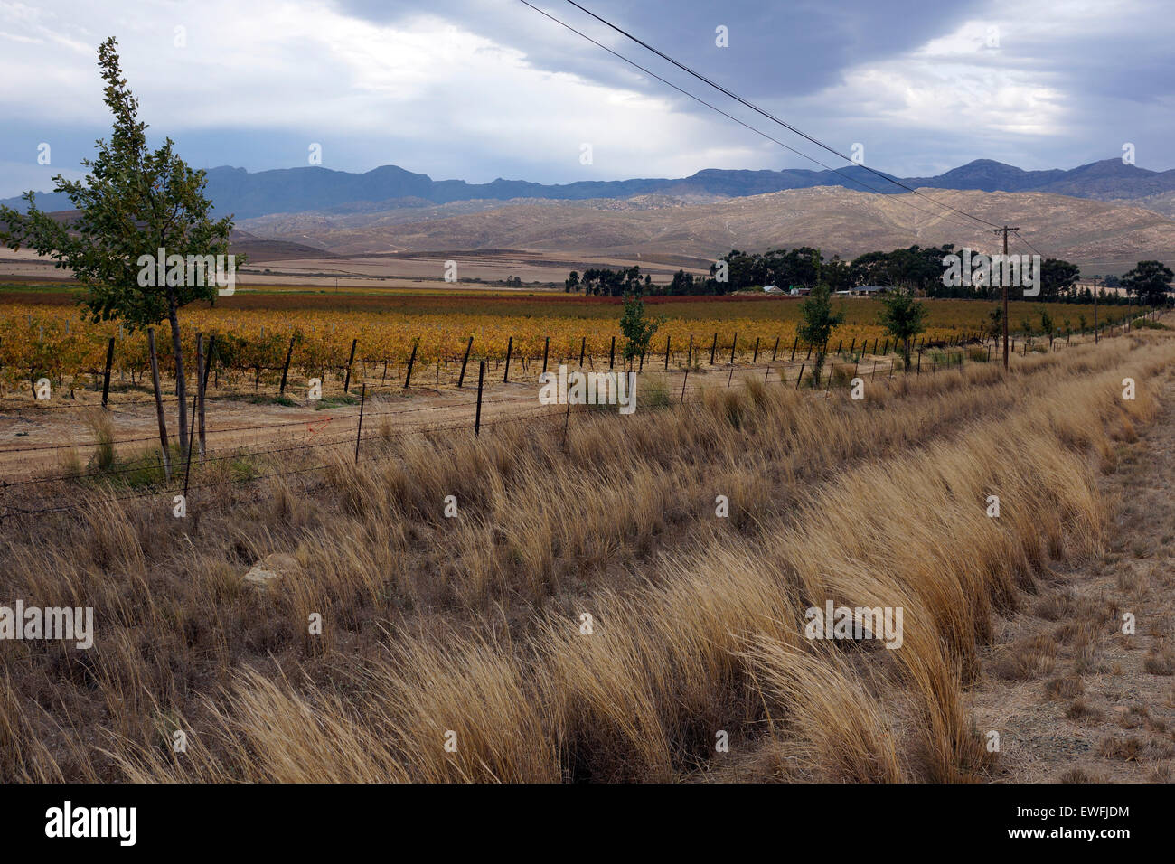 Mountains outside town of Worcester in the Western Cape, South Africa ...