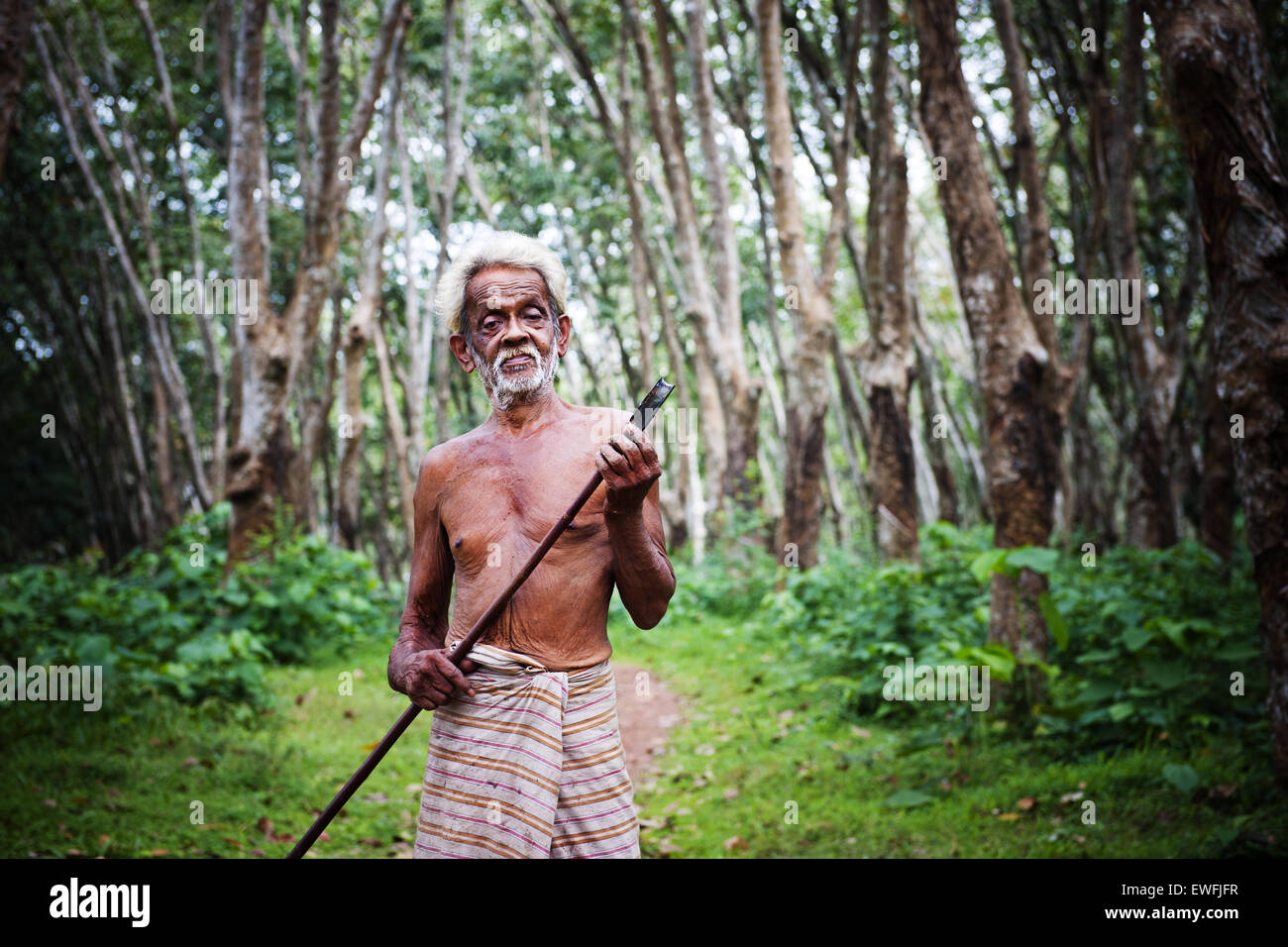 Rubber plantation worker Stock Photo - Alamy