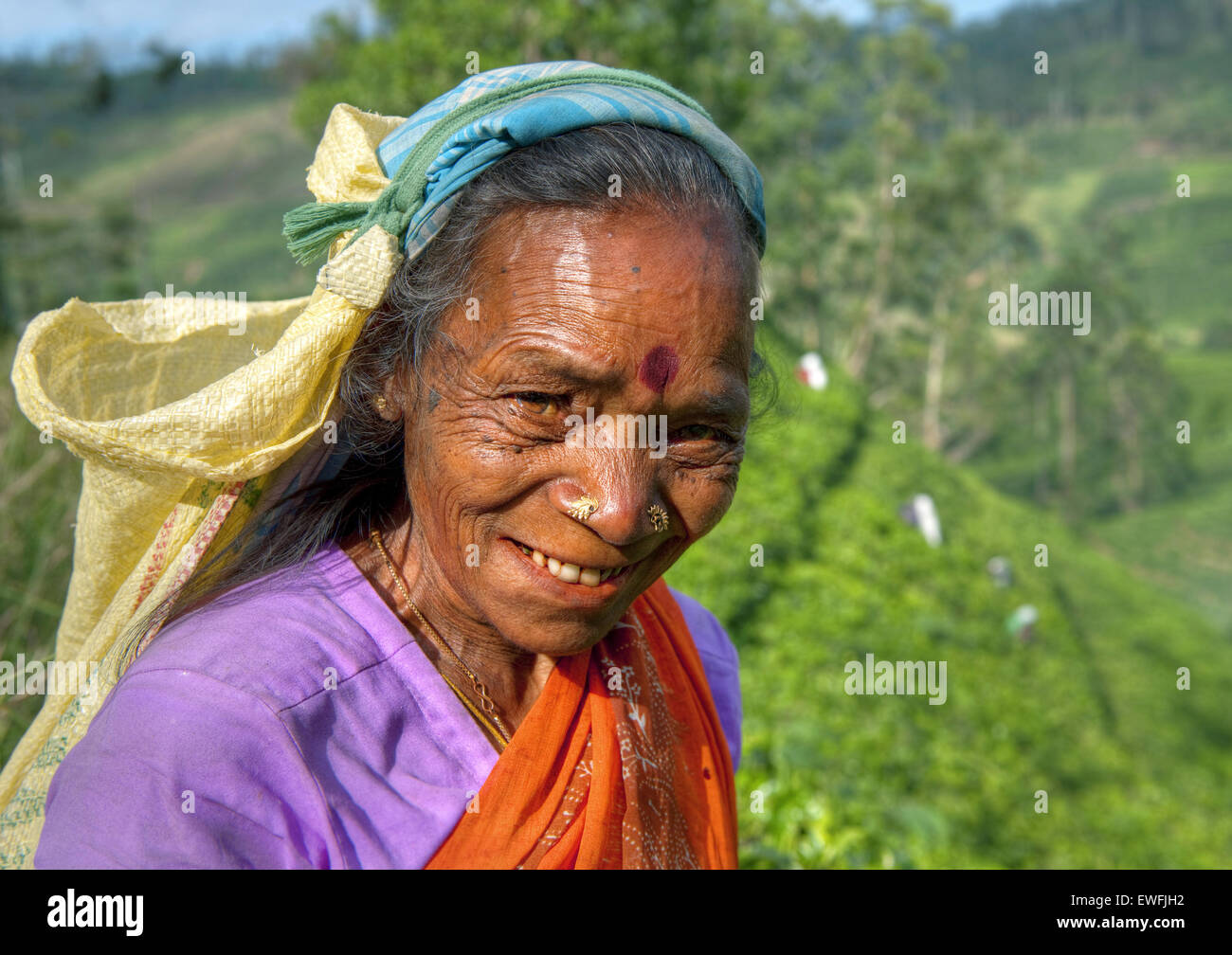 Tamil female tea picker hi-res stock photography and images - Alamy