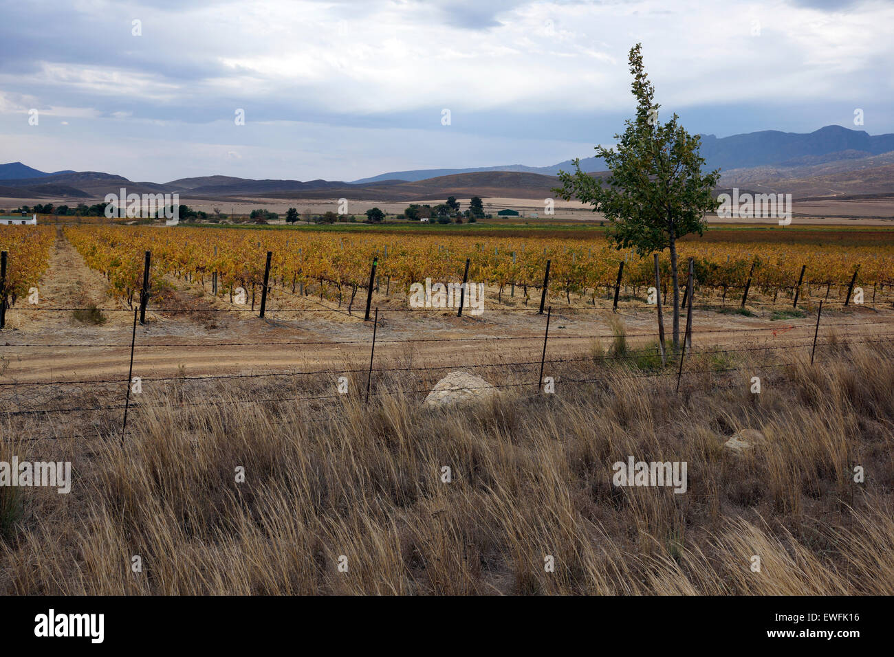 Mountains outside town of Worcester in the Western Cape, South Africa ...