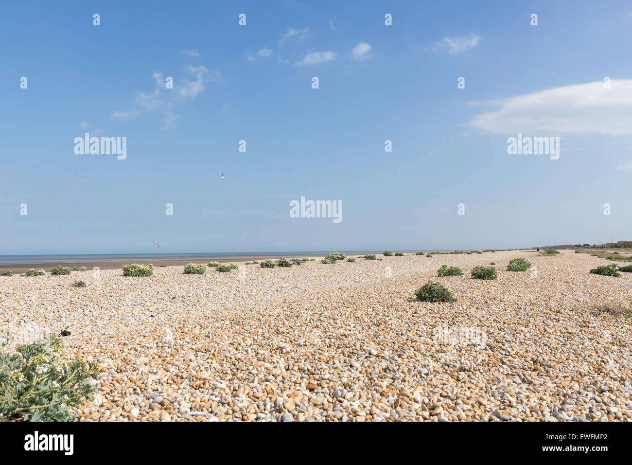 The coastline at Lydd on Sea, Kent, England, UK Stock Photo - Alamy