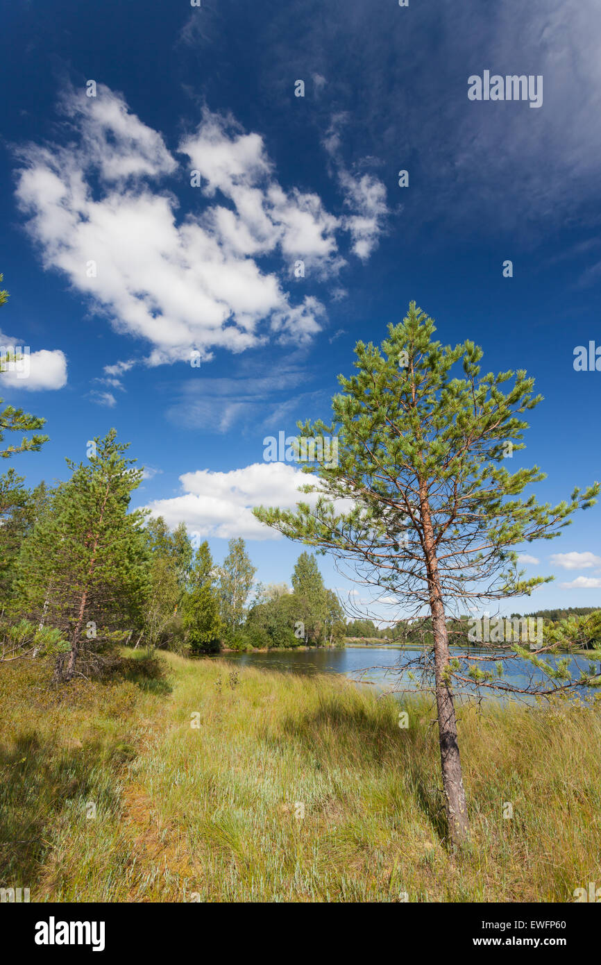 Tree near lake hi-res stock photography and images - Alamy