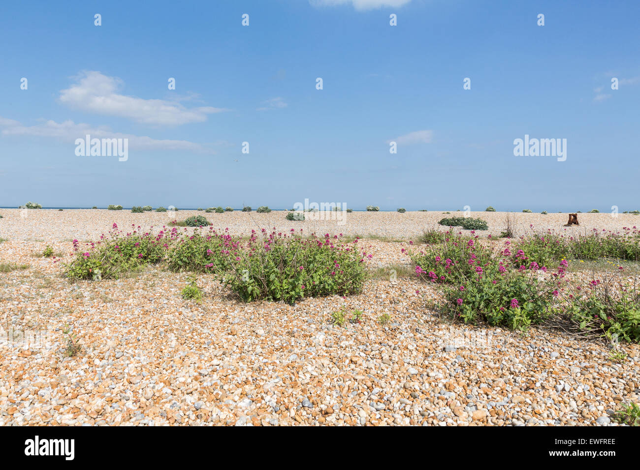 Kent coast line hi-res stock photography and images - Alamy