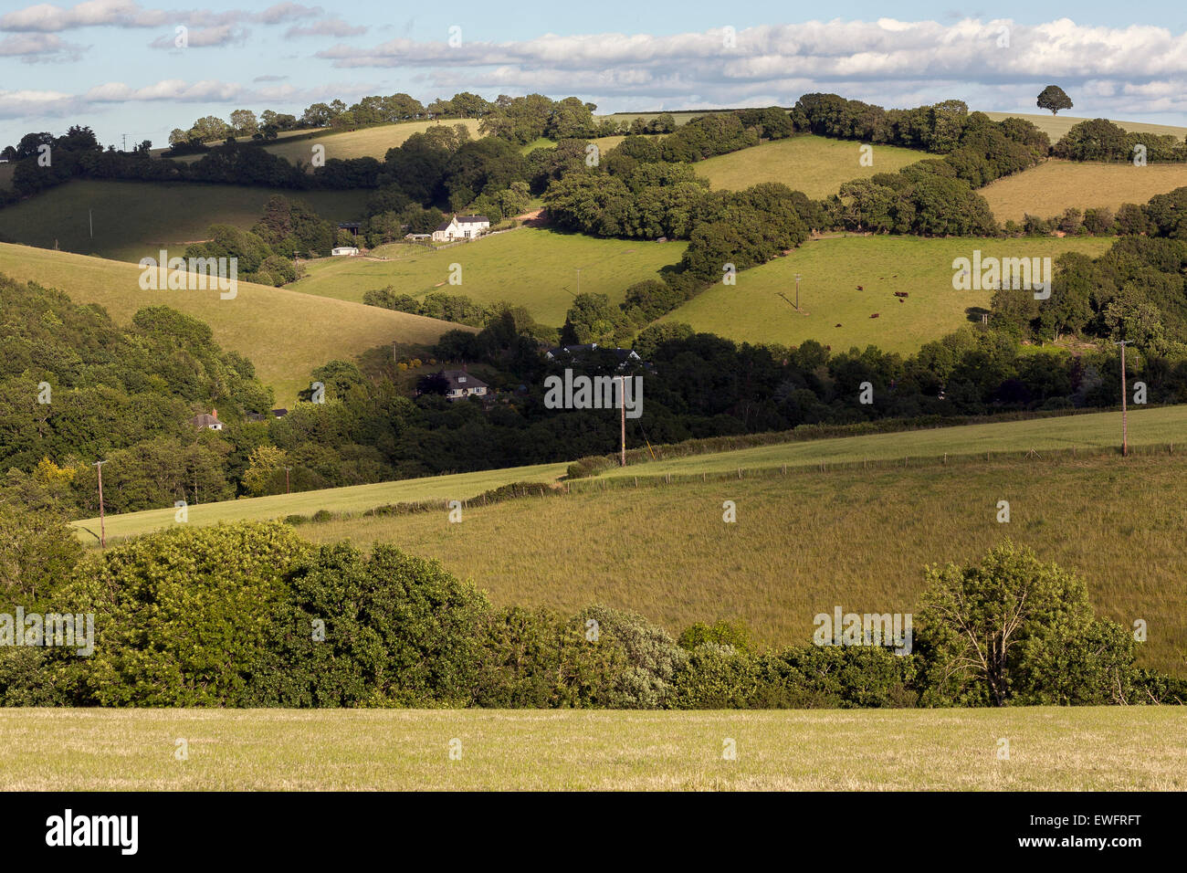 teign valley,dunsford,farm,farming,rider,devon,trailer, truck ...