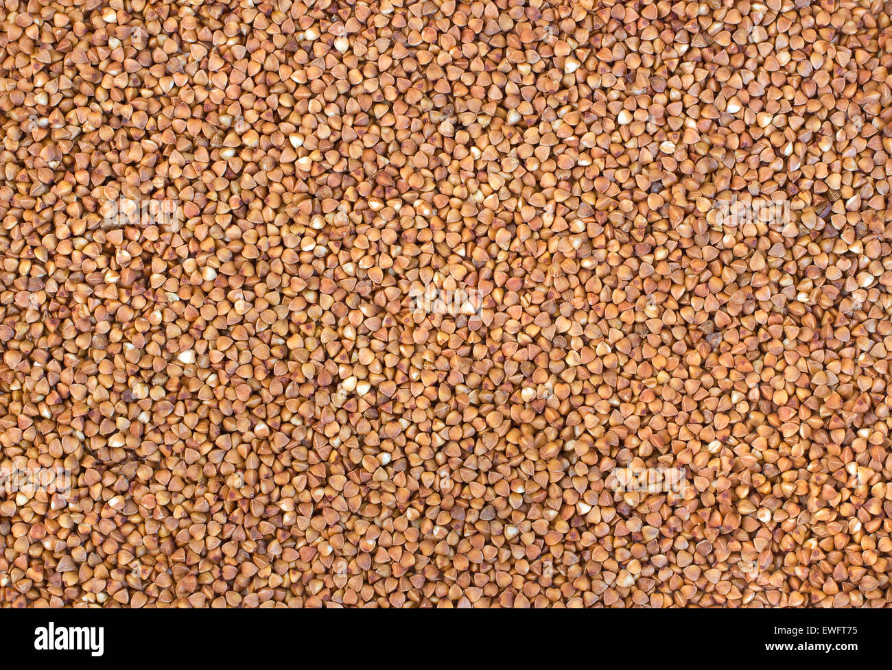 Buckwheat seeds background Stock Photo - Alamy