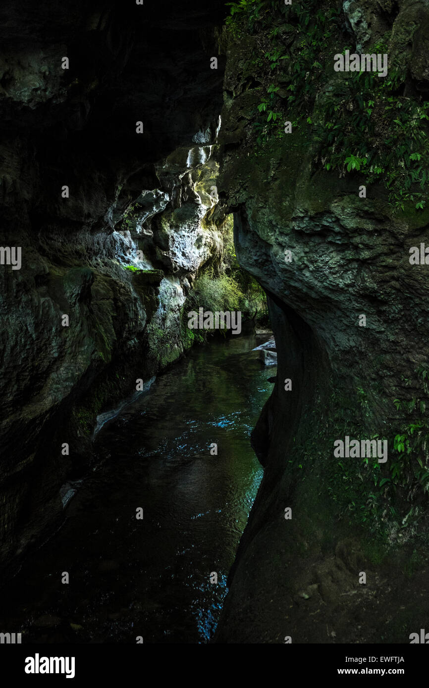 Waitamo caves new zealand hi-res stock photography and images - Alamy