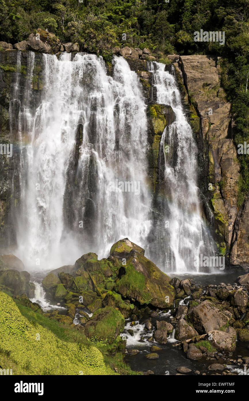 Marokopa falls waterfall near to Waitomo in New Zealand on a summers ...