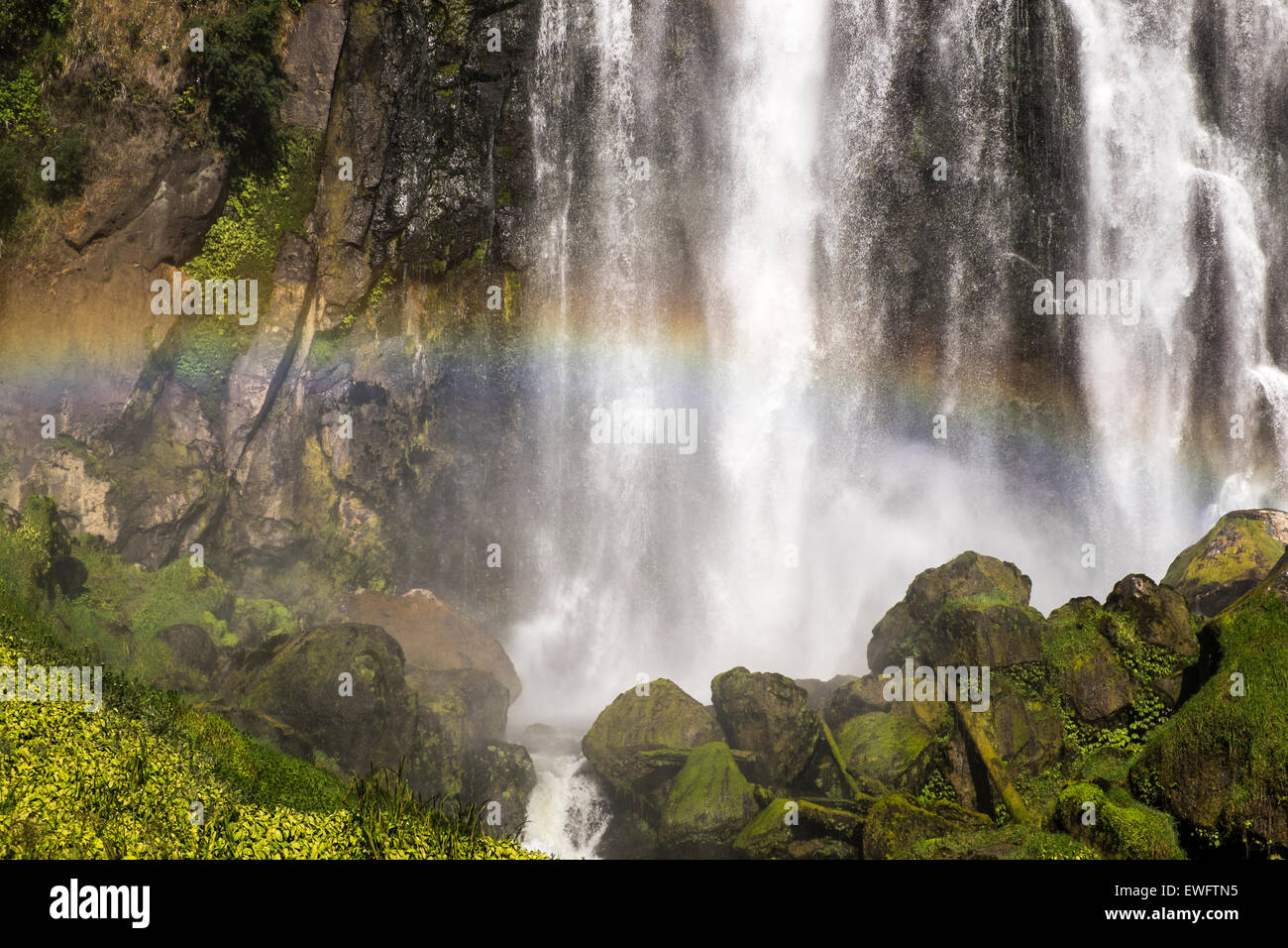 Marokopa falls waterfall near to Waitomo in New Zealand on a summers ...