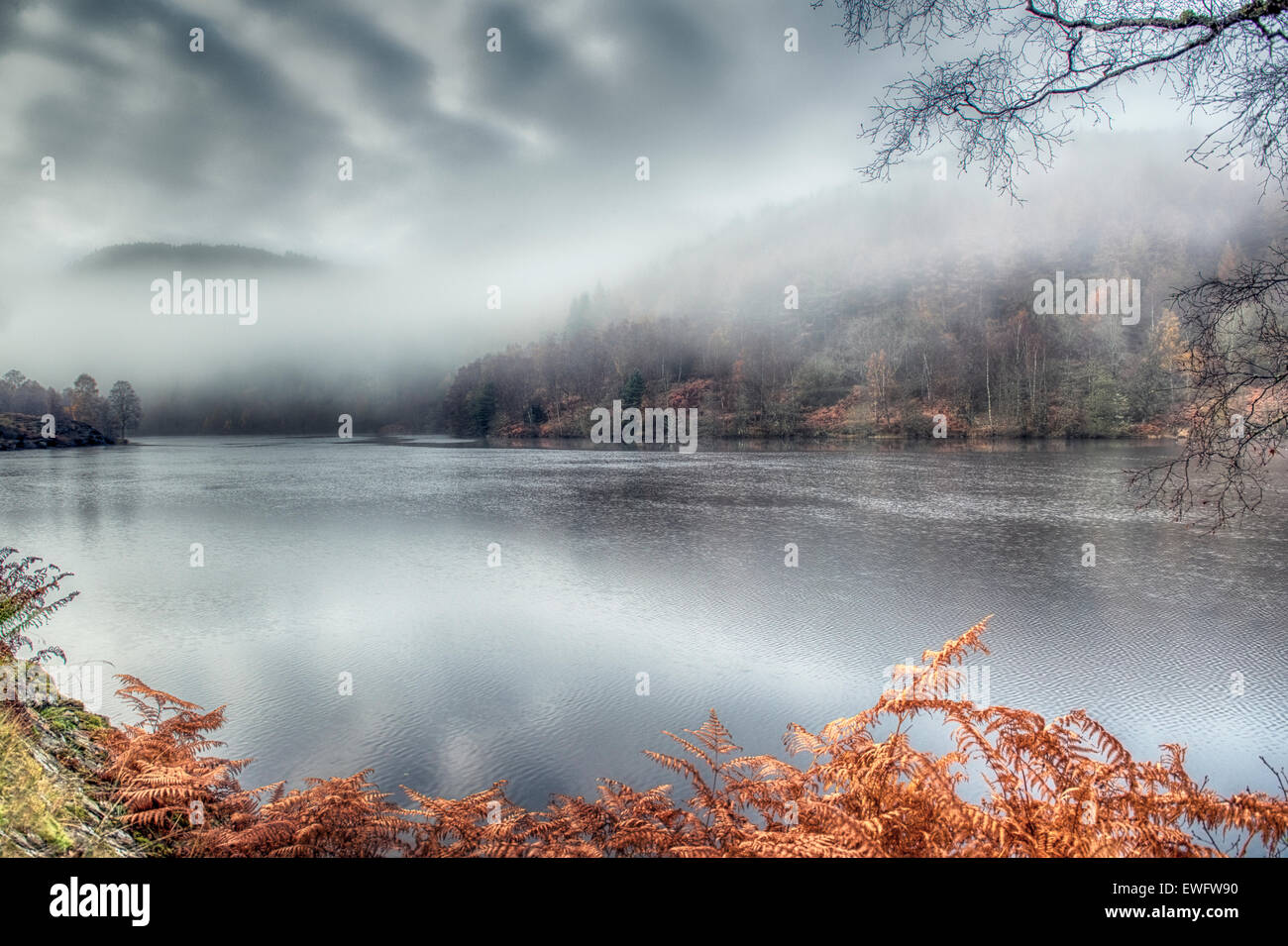 Allean forest autumn hi-res stock photography and images - Alamy
