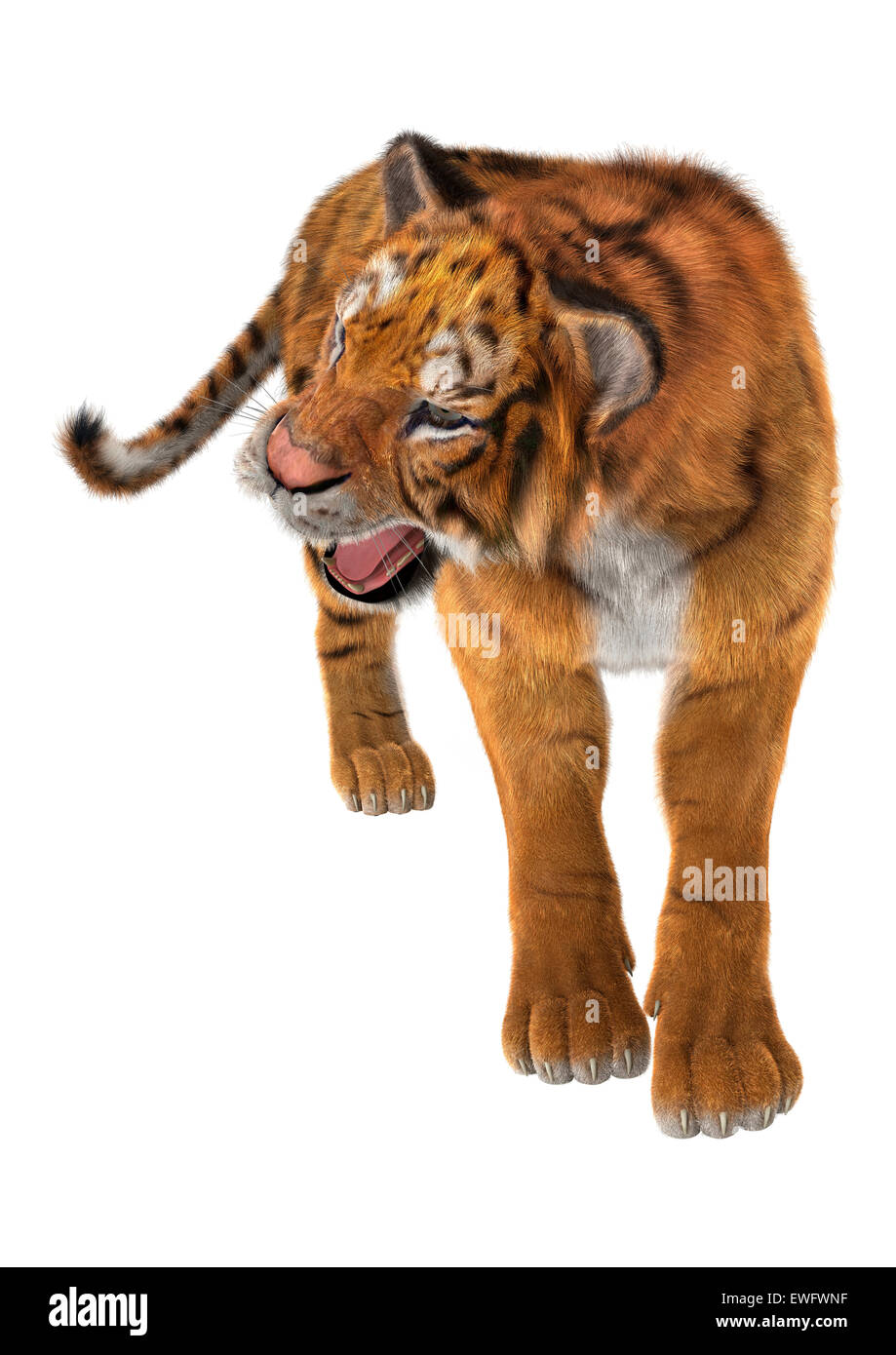 3D digital render of a tiger isolated on white background Stock Photo ...