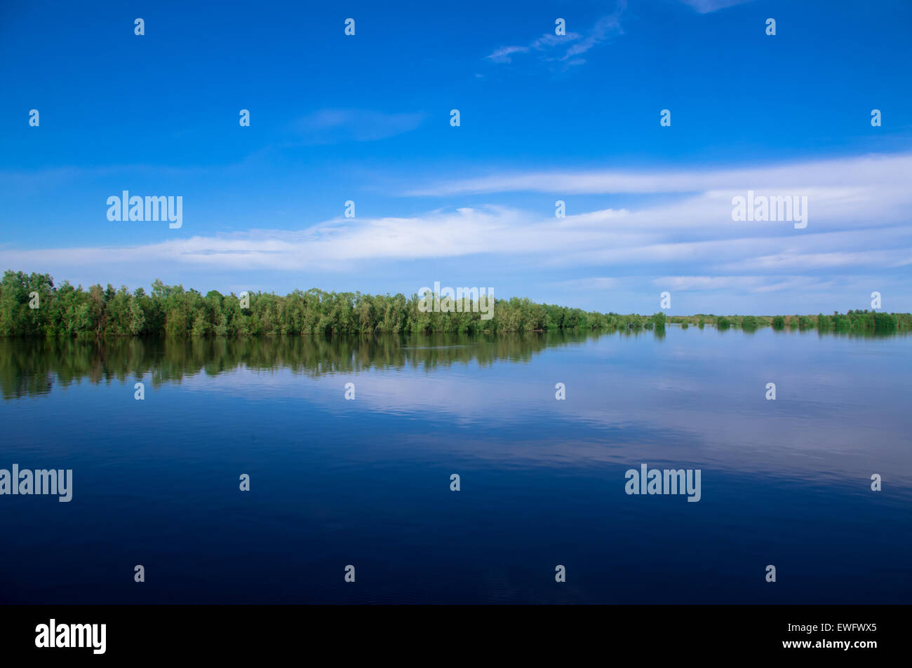 Green forest river banks aerial hi-res stock photography and images - Alamy