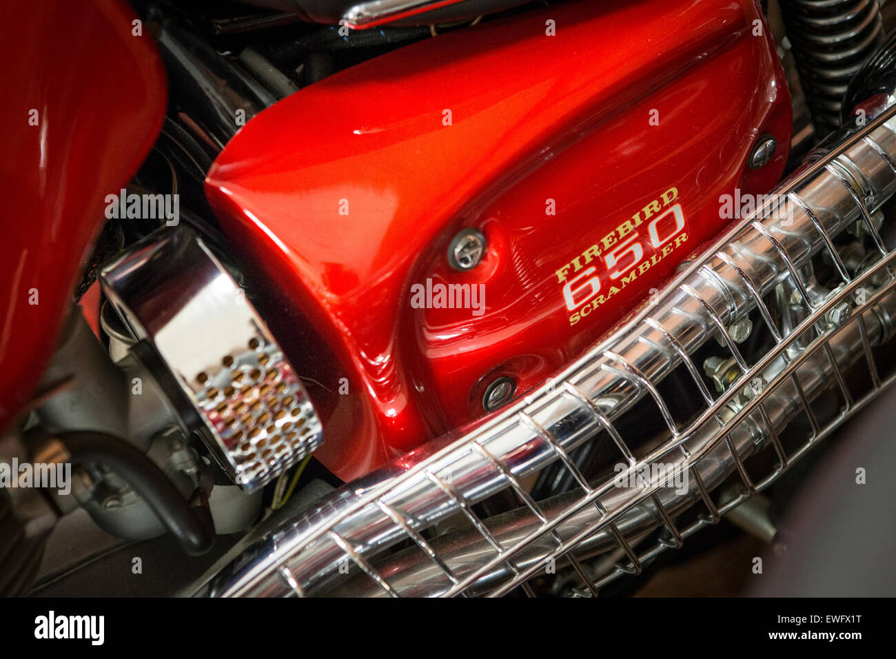 Bsa logo design hi-res stock photography and images - Alamy