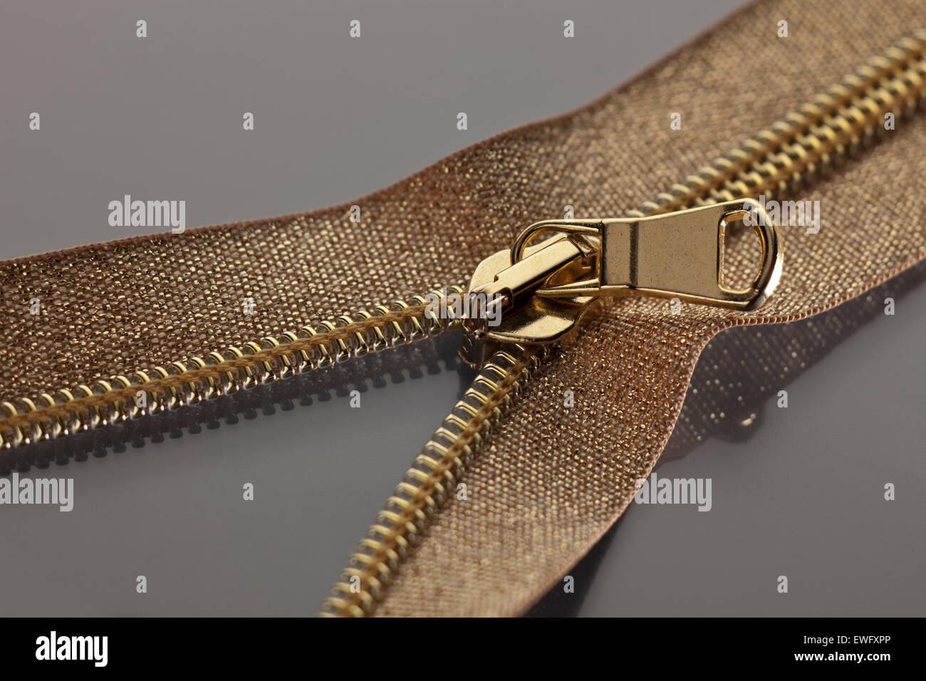 studio photography of golden brown zipper opened on a half to a gray ...