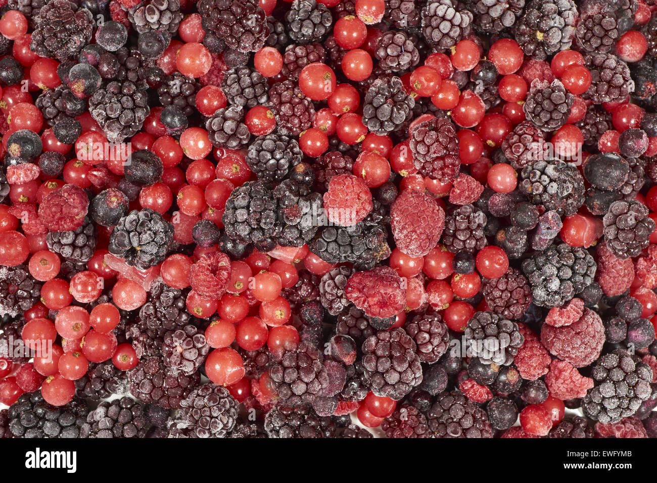 Collection of blackberries hi-res stock photography and images - Alamy
