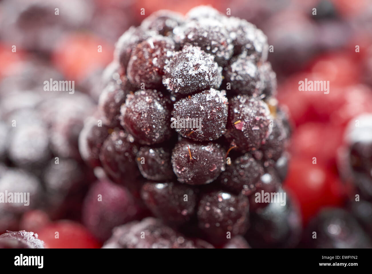 Frozen fruits hi-res stock photography and images - Alamy