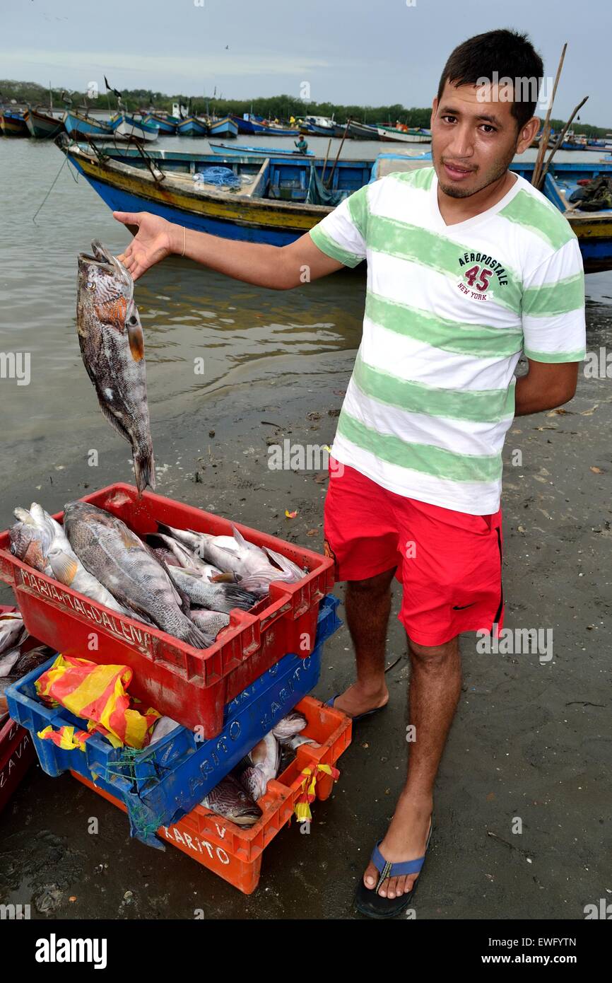 Perela fish - Port in PUERTO PIZARRO. Department of Tumbes .PERU Stock ...