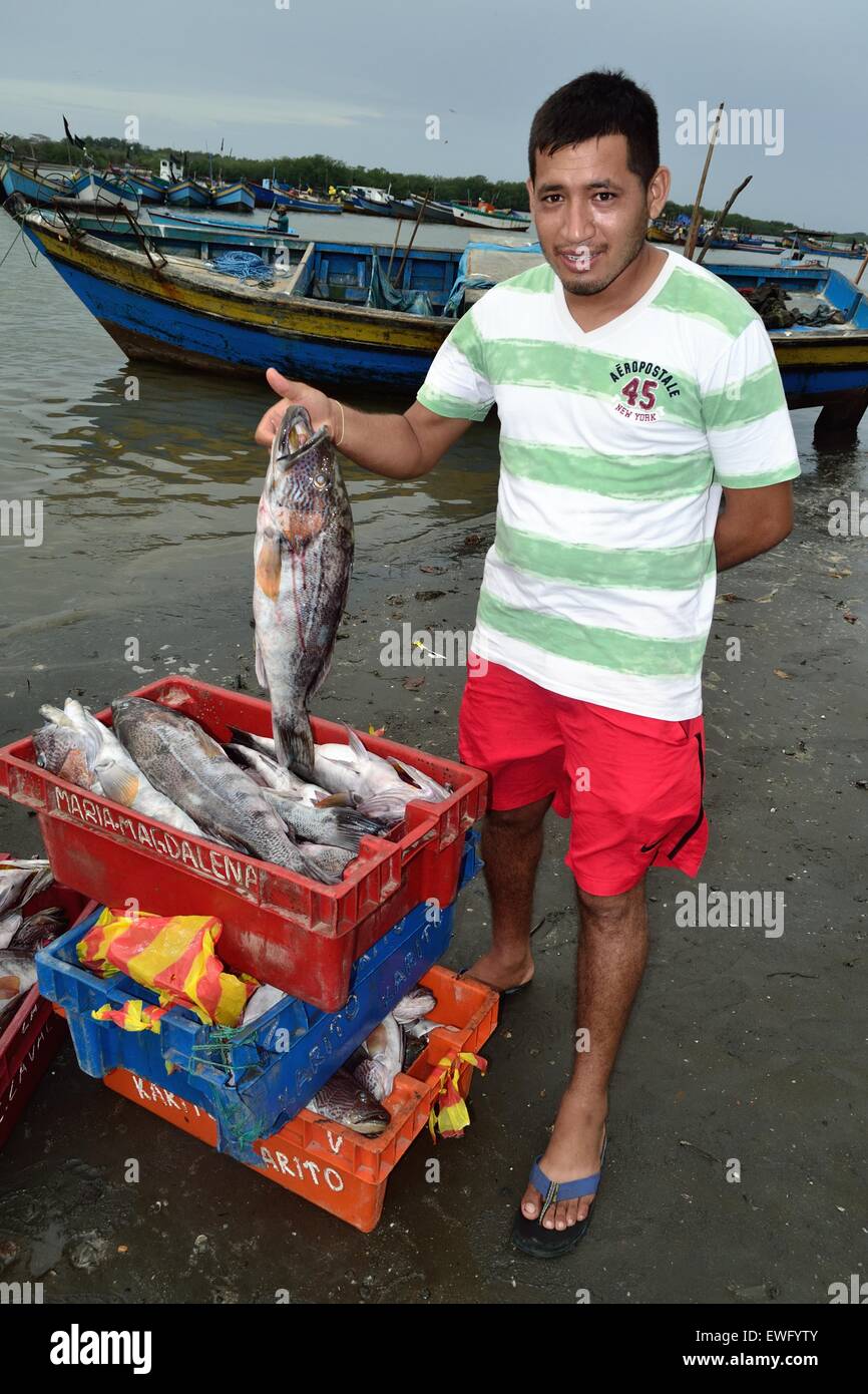 Perela fish - Port in PUERTO PIZARRO. Department of Tumbes .PERU Stock ...