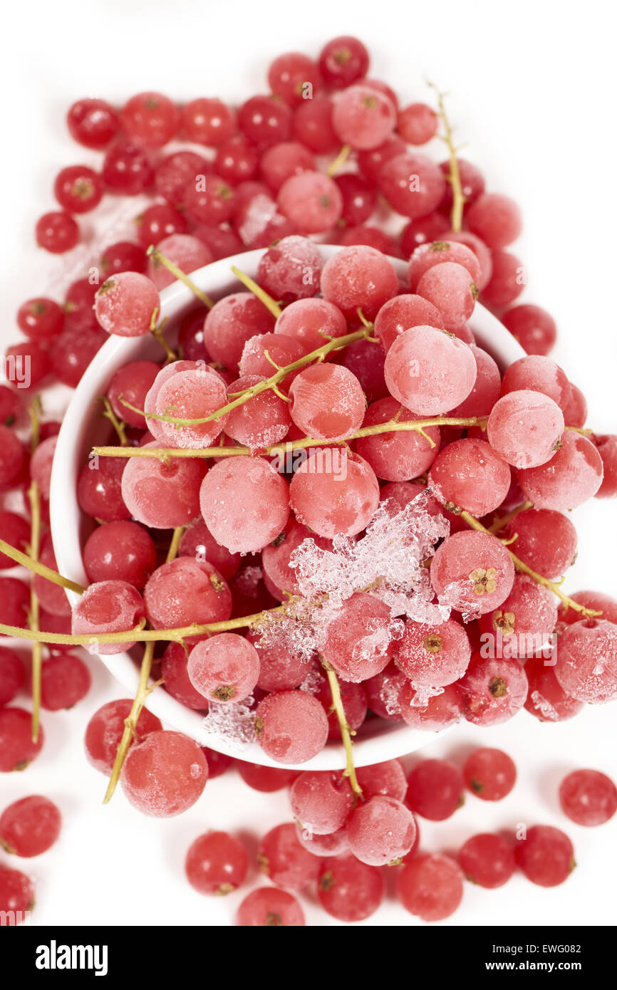 Top view of frozen currants with stems covered with ice crystals in a ...