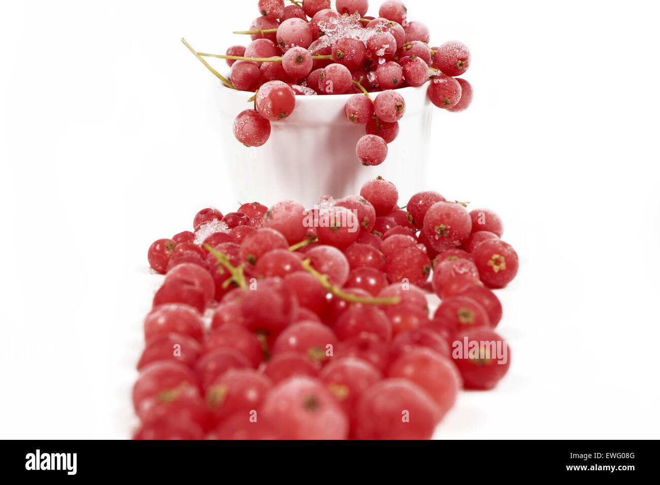 Macro shot on red currant hi-res stock photography and images - Alamy