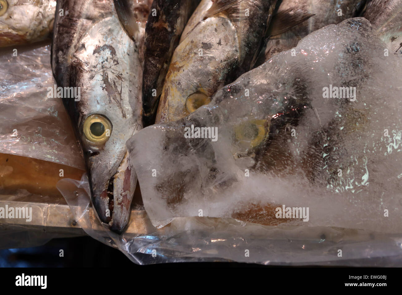 Hong Kong, China, fresh fish lying on ice Stock Photo - Alamy
