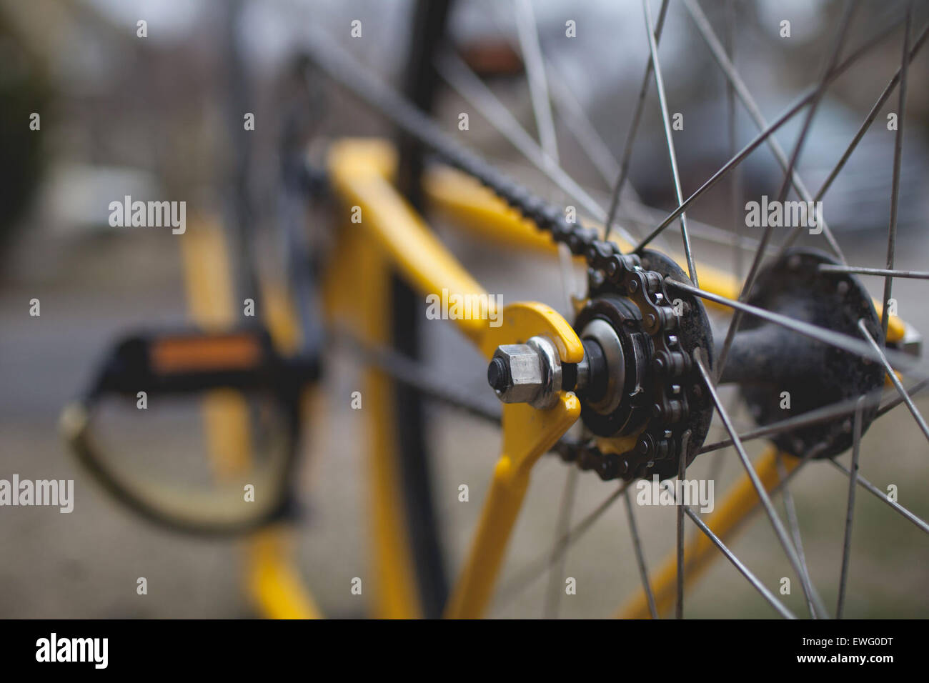 A close-up of a bicycle wheel, showing the detailed arrangement of the ...