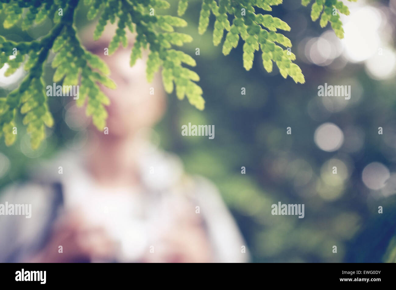 A blurred silhouette of a person standing behind a green tree leaf. The ...