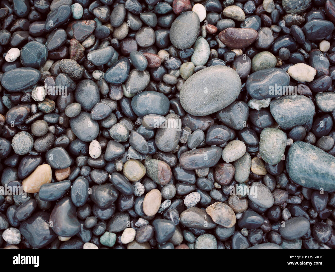 A collection of glossy pebbles with smooth, polished surfaces. The ...