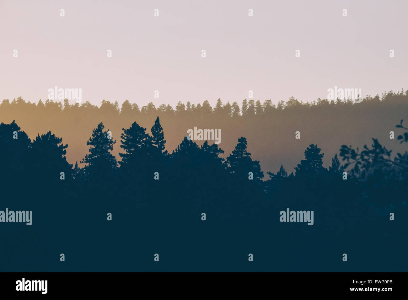 Treeline hi-res stock photography and images - Alamy