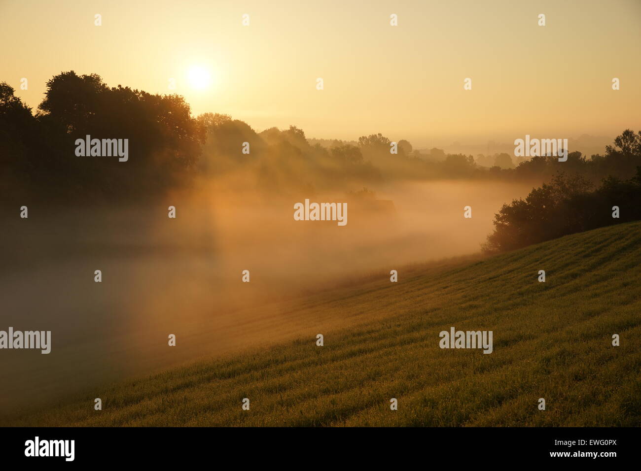 Misty field with a barely visible barn Stock Photo - Alamy