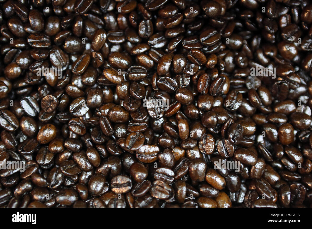 Dubai foods hi-res stock photography and images - Alamy