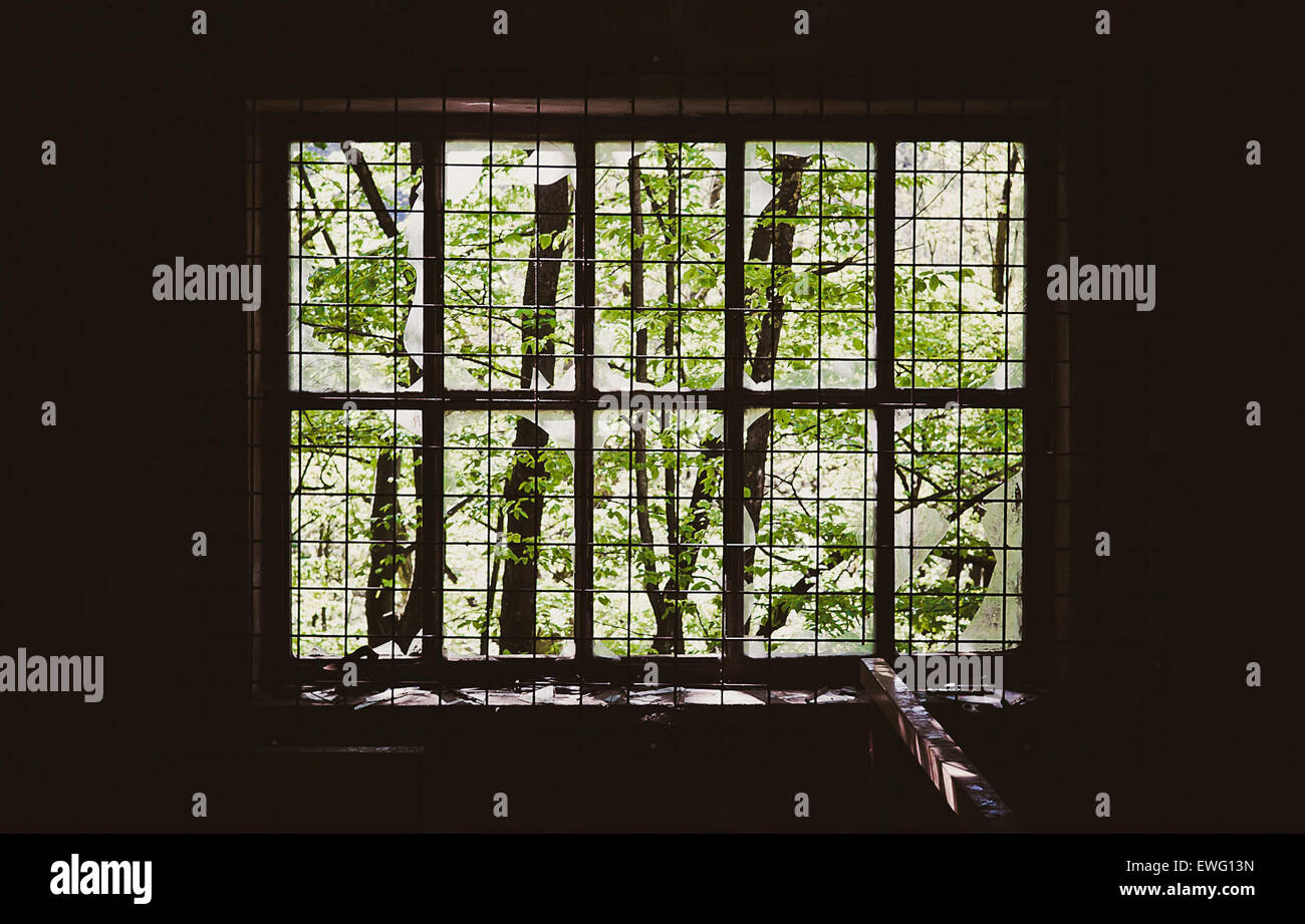 An image of a broken window inside a building, with shards of glass ...
