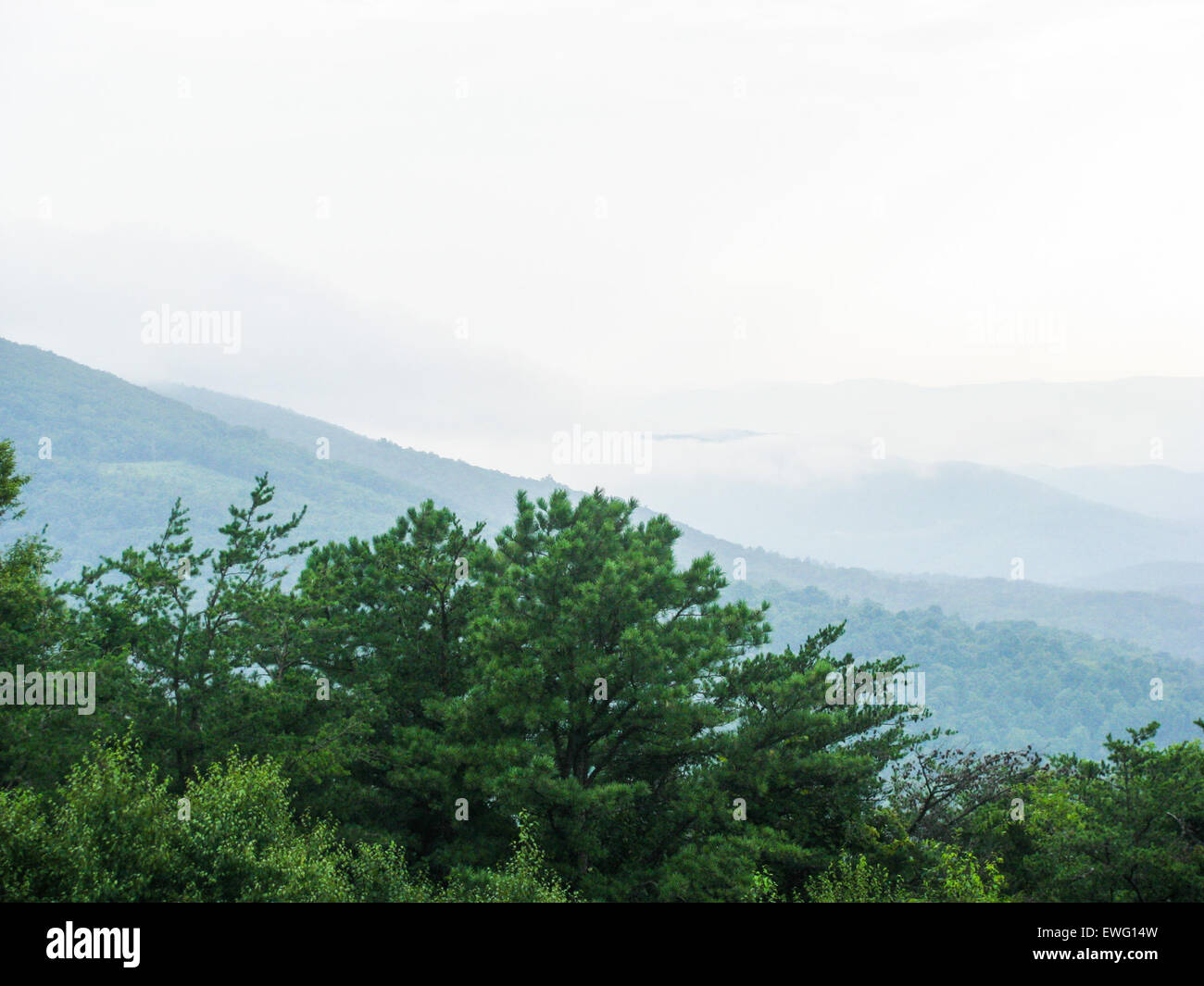 A landscape featuring a combination of trees, rolling hills, and an ...