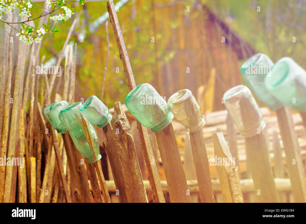 A rustic scene showing mason jars placed on wooden fence posts. The ...