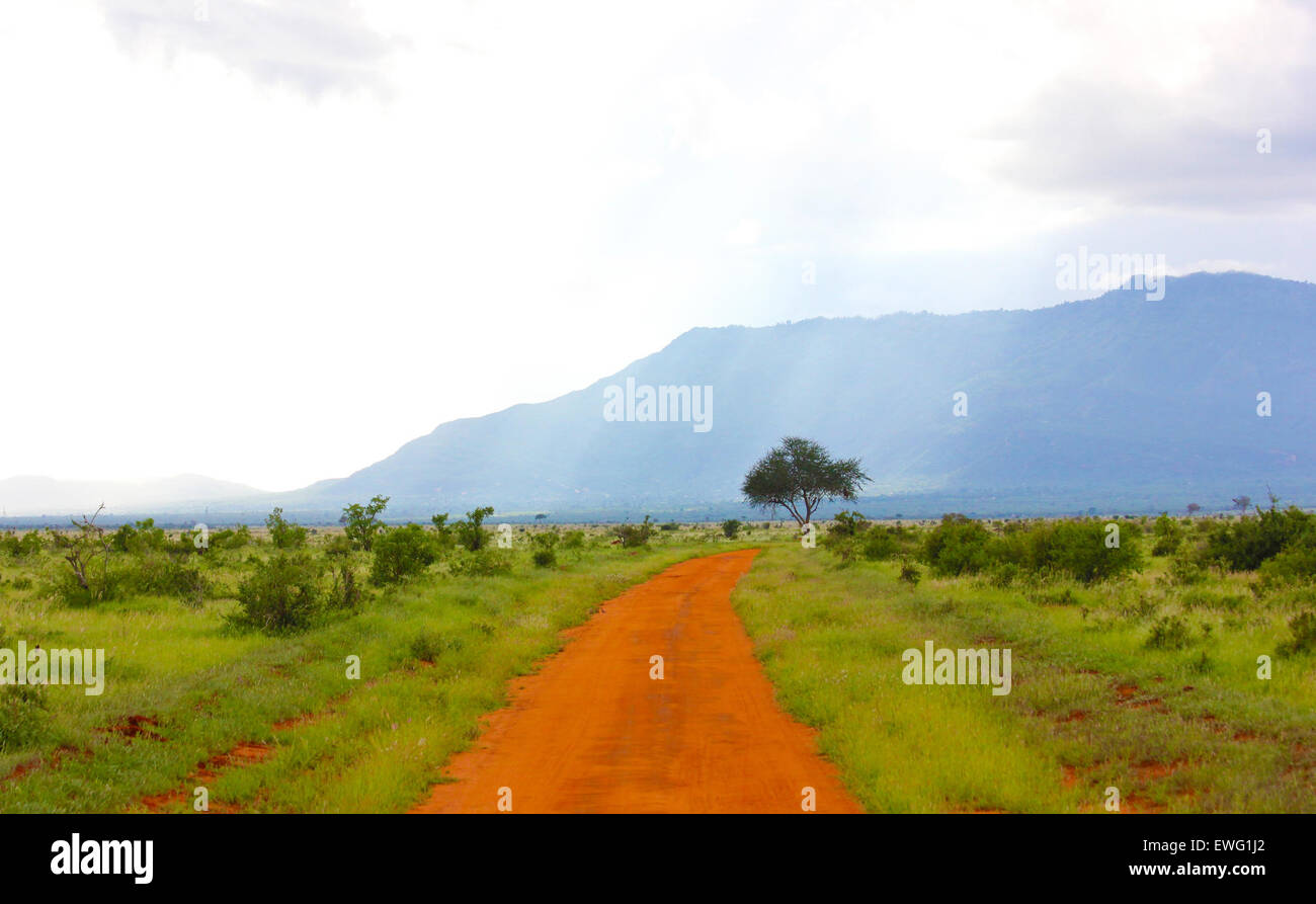 Path through Grasslands Stock Photo - Alamy