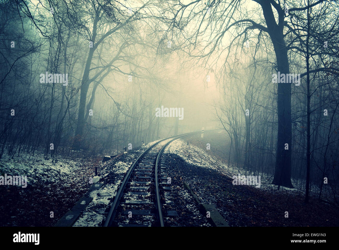 Railroad Track Winding Through Fog and Trees Stock Photo - Alamy