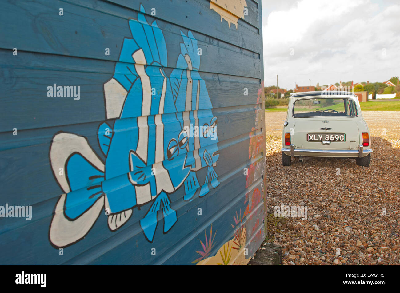 A white Austin Mini Cooper mk2 in original condition Stock Photo - Alamy