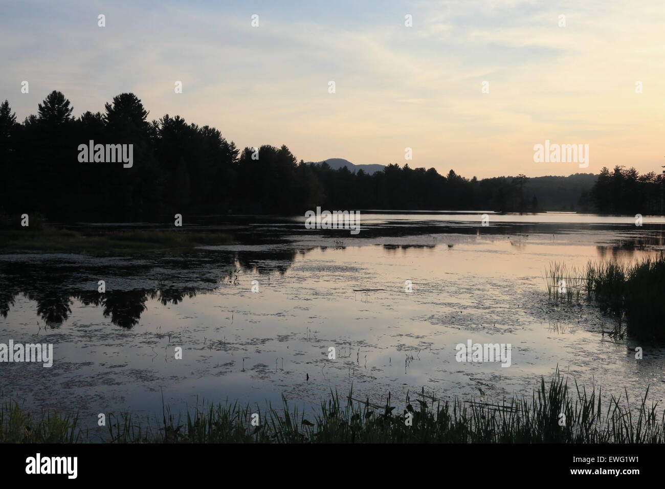 Reflection in Wetlands Water Reflection grass nature outdoor sky swamp ...
