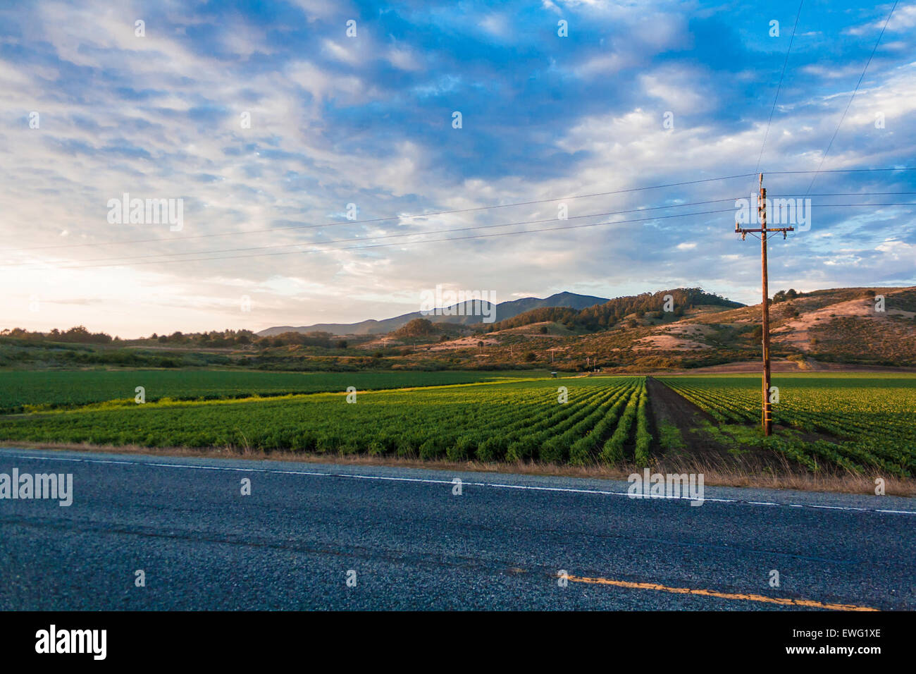 Road lines stretch background hi-res stock photography and images - Alamy