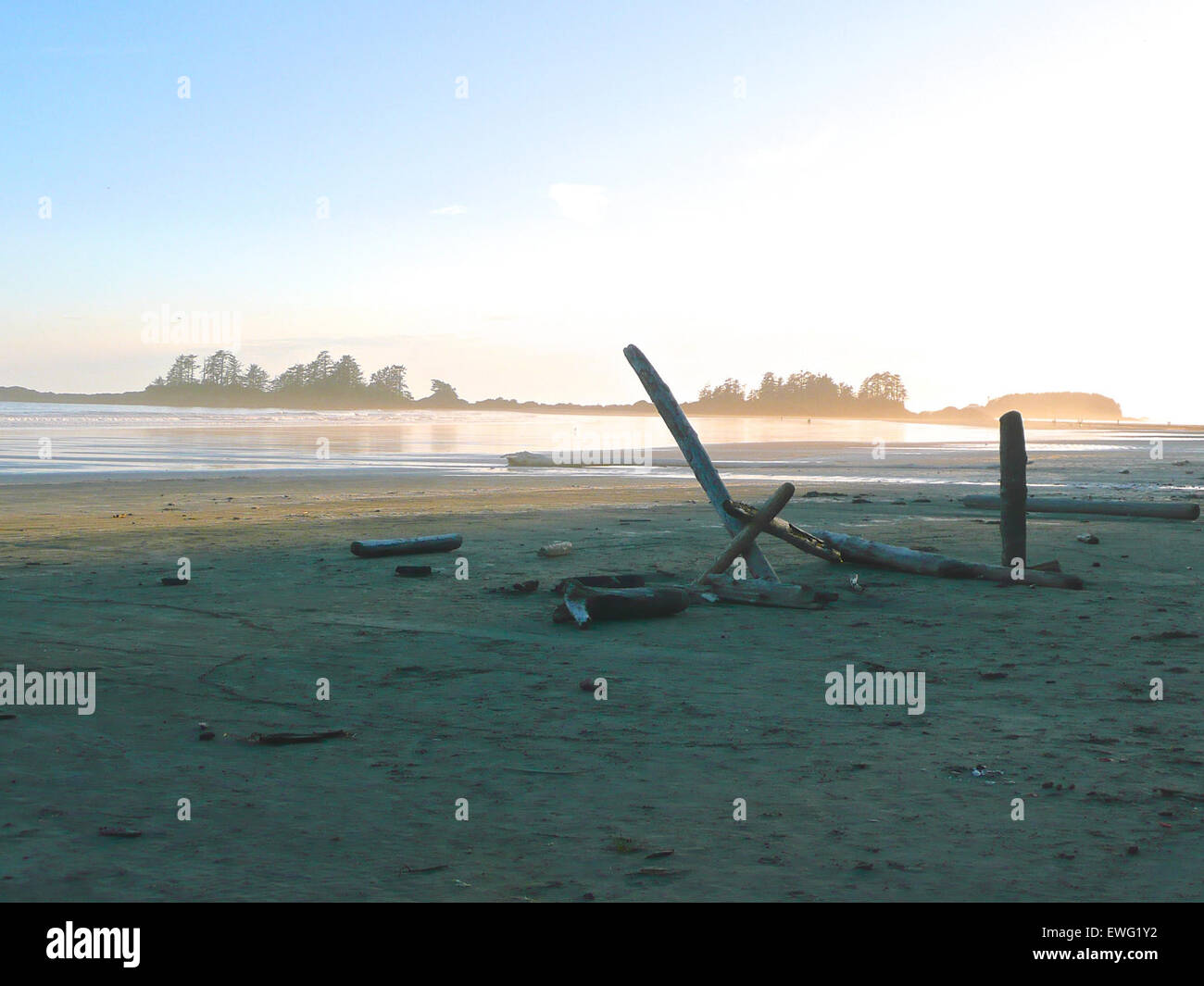 Sandy Beach with Natural Debris Stock Photo - Alamy