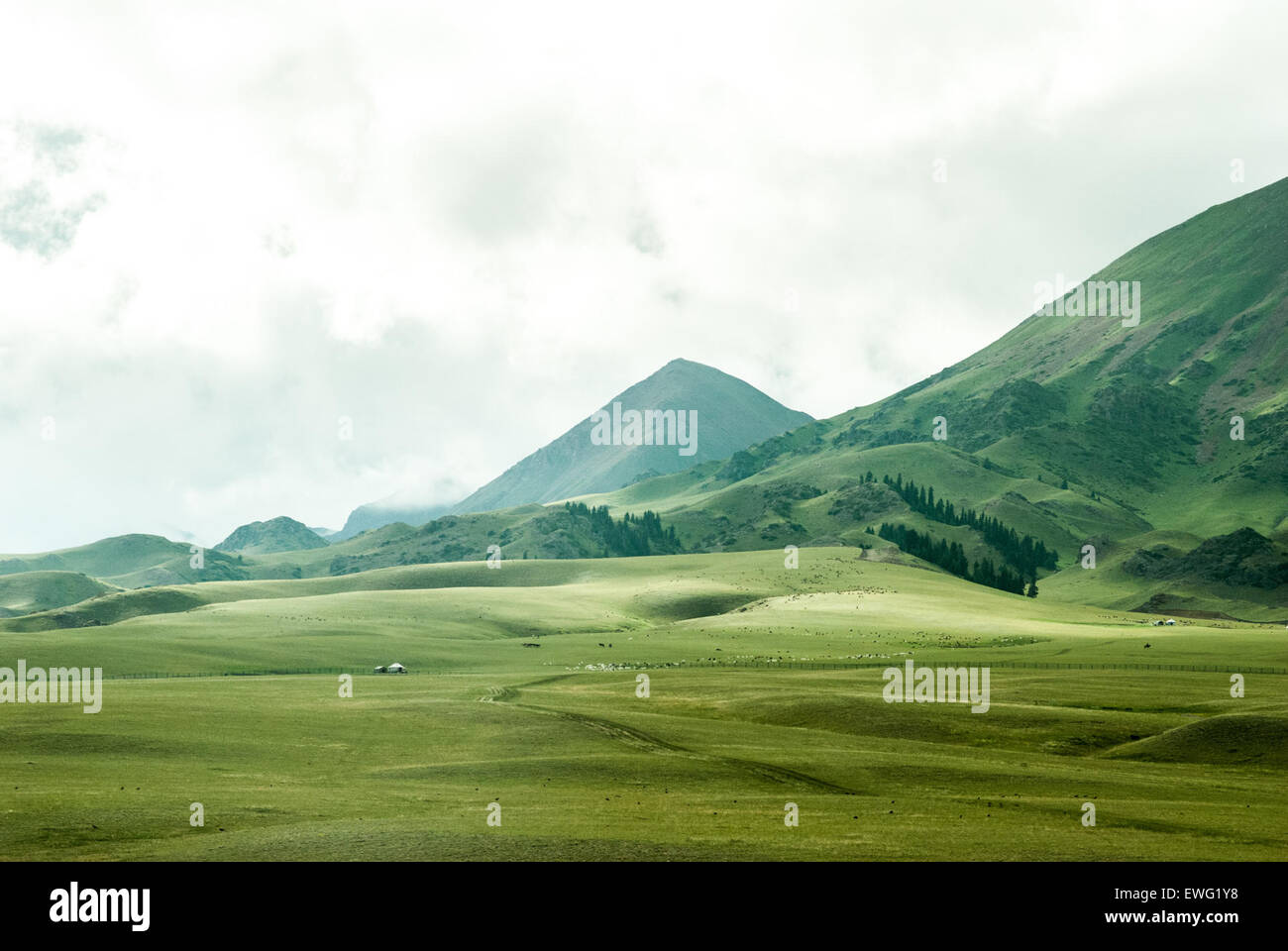 Wide open grasslands rolling hills hi-res stock photography and images ...