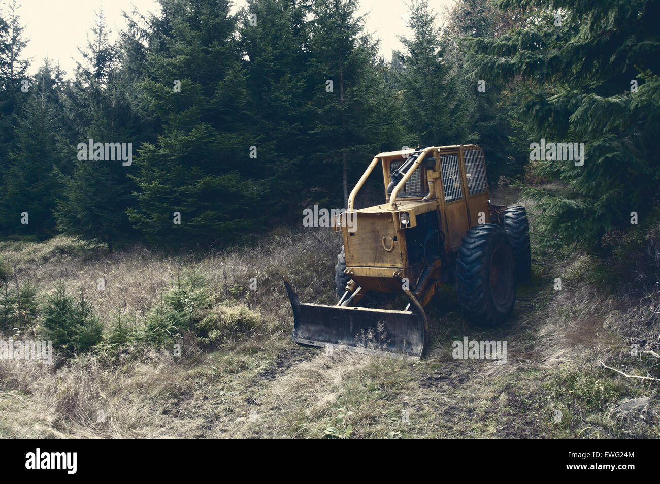 A yellow bulldozer is seen near a forest, ready for construction work ...