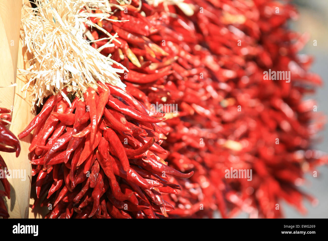 Bundles of vibrant red peppers stacked together, showcasing their rich ...