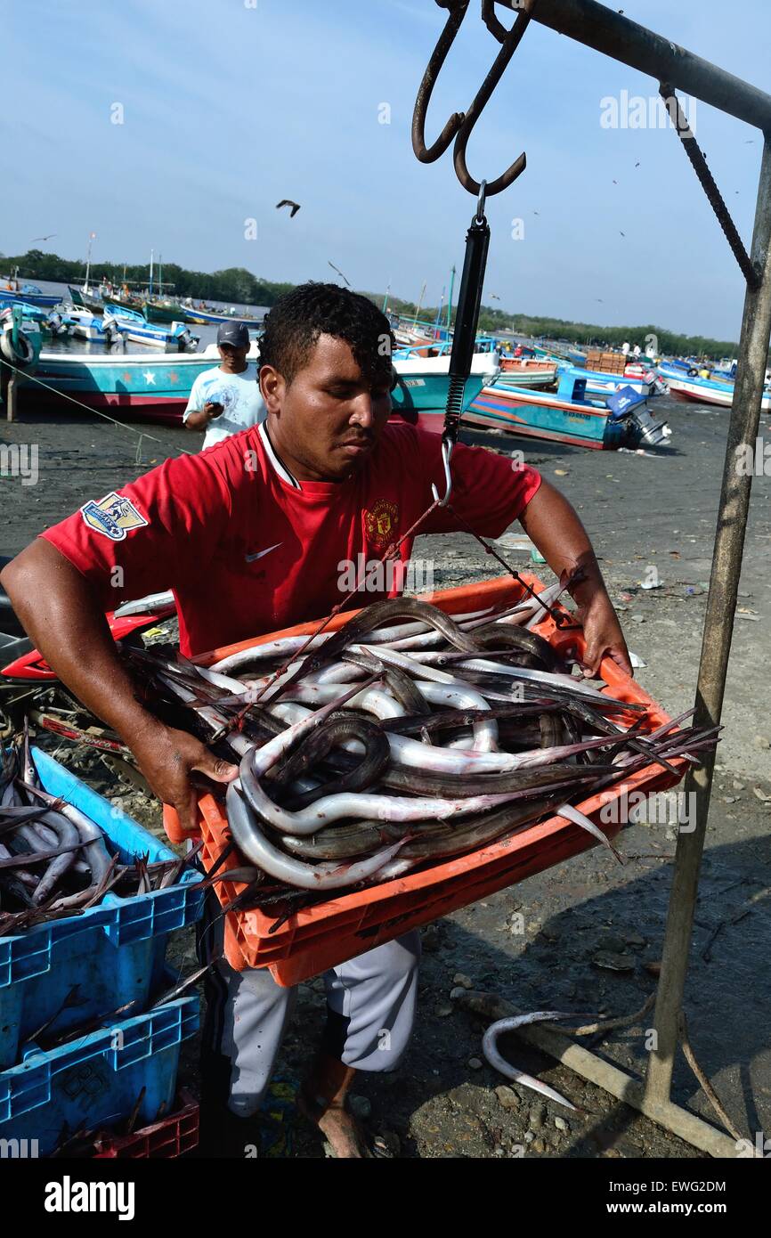Weighing Aguja verde fish - Port in PUERTO PIZARRO. Department of ...