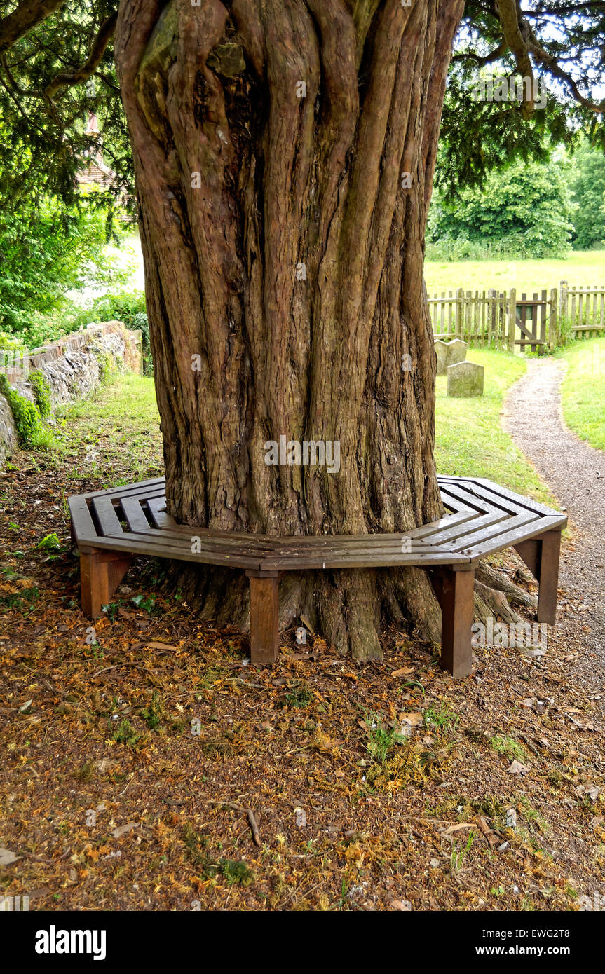Octagonal tree seat in church yard Stock Photo - Alamy