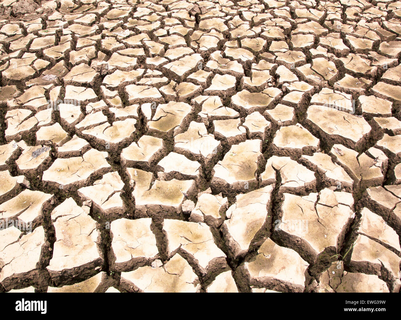Parched soil hi-res stock photography and images - Alamy