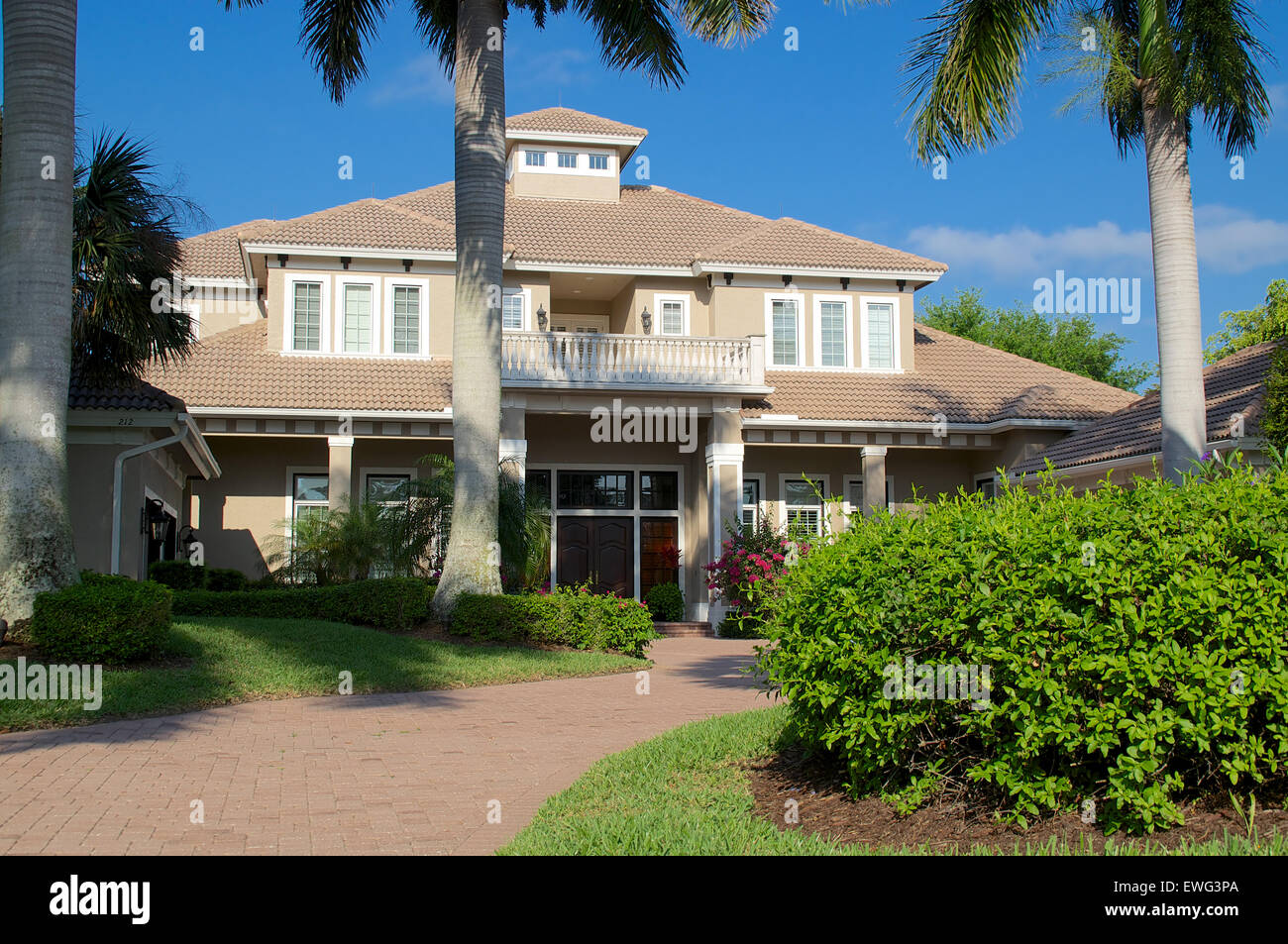 View of typical large modern south florida home surrounded by palm ...