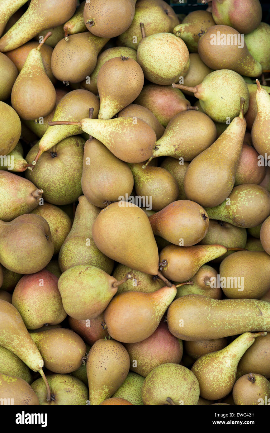 A pile of freshly-picked pears Stock Photo - Alamy